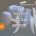 Nomad Sculpt - Teeth & Claws Editor - 3D Object - Filetype Nom (nomad ...