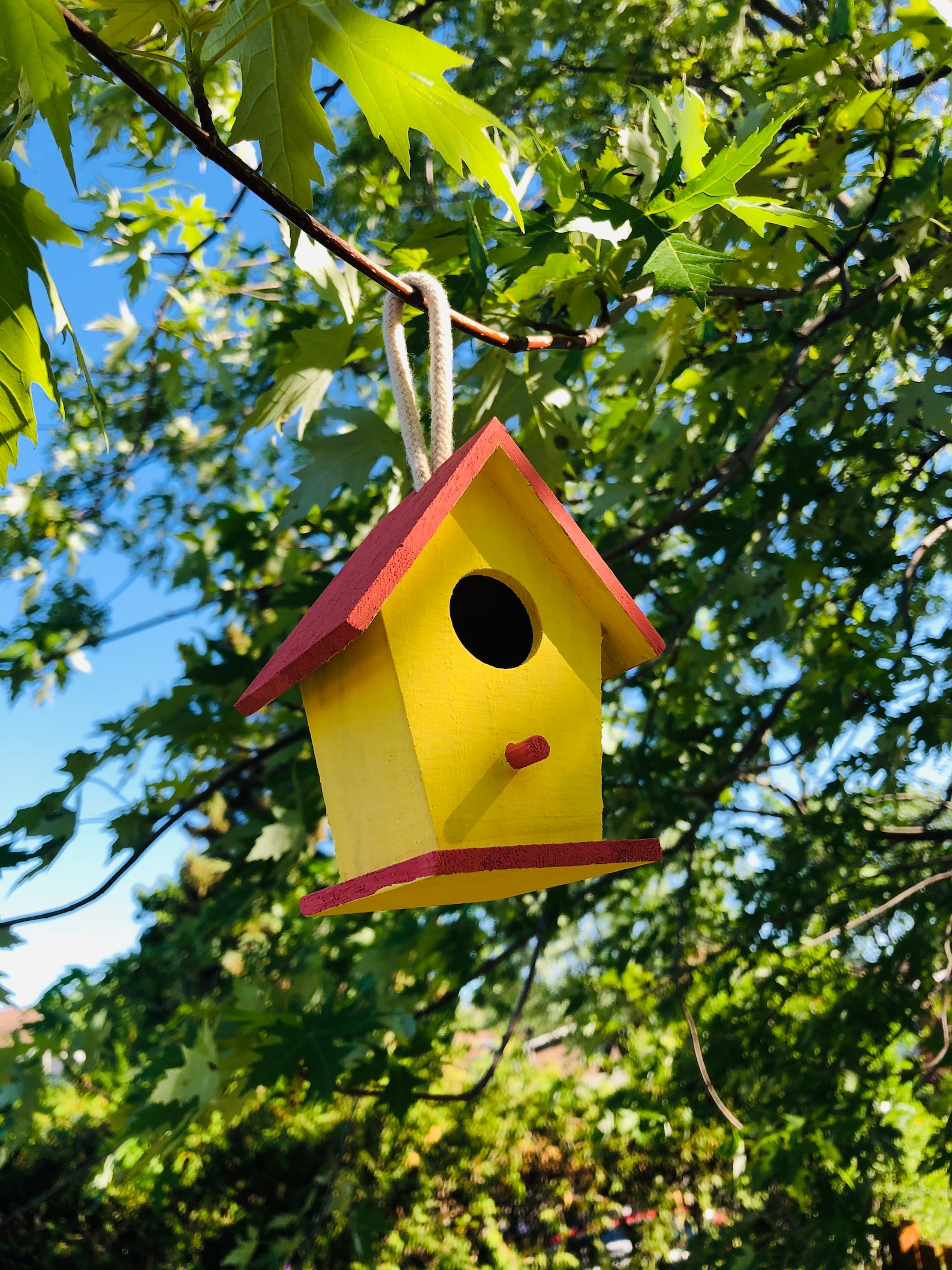 Handmade Wooden Mini Birdhouse, Outdoor Wooden Hanging Birdhouse, Bird ...