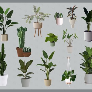 Flat Vector Plants Pack 14 Pack Vector Plants Instant - Etsy