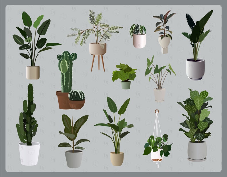 Flat Vector Plants Pack 14 Pack Vector Plants Instant - Etsy