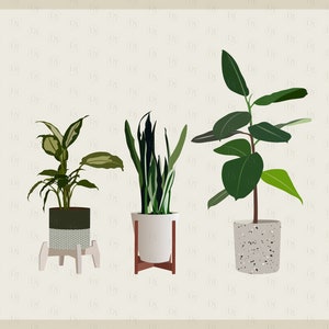 Flat Vector Plants Pack 22 Pack Vector Plants Instant | Etsy