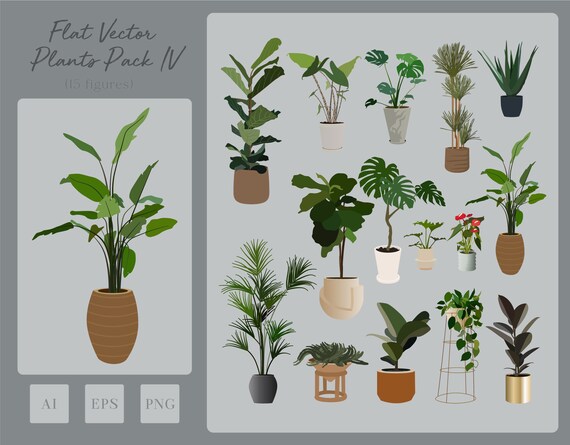 Flat Vector Plants Pack 15 Pack Vector Plants Instant | Etsy