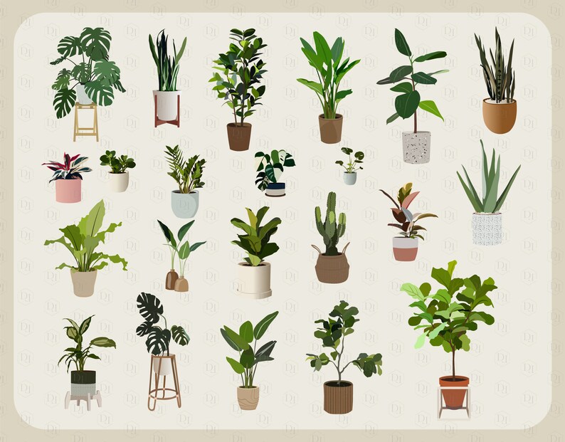 Flat Vector Plants Pack 22 Pack Vector Plants Instant | Etsy