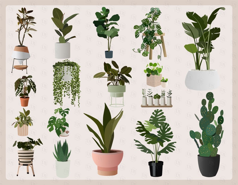 Flat Vector Plants Pack 18 Pack Vector Plants Instant - Etsy