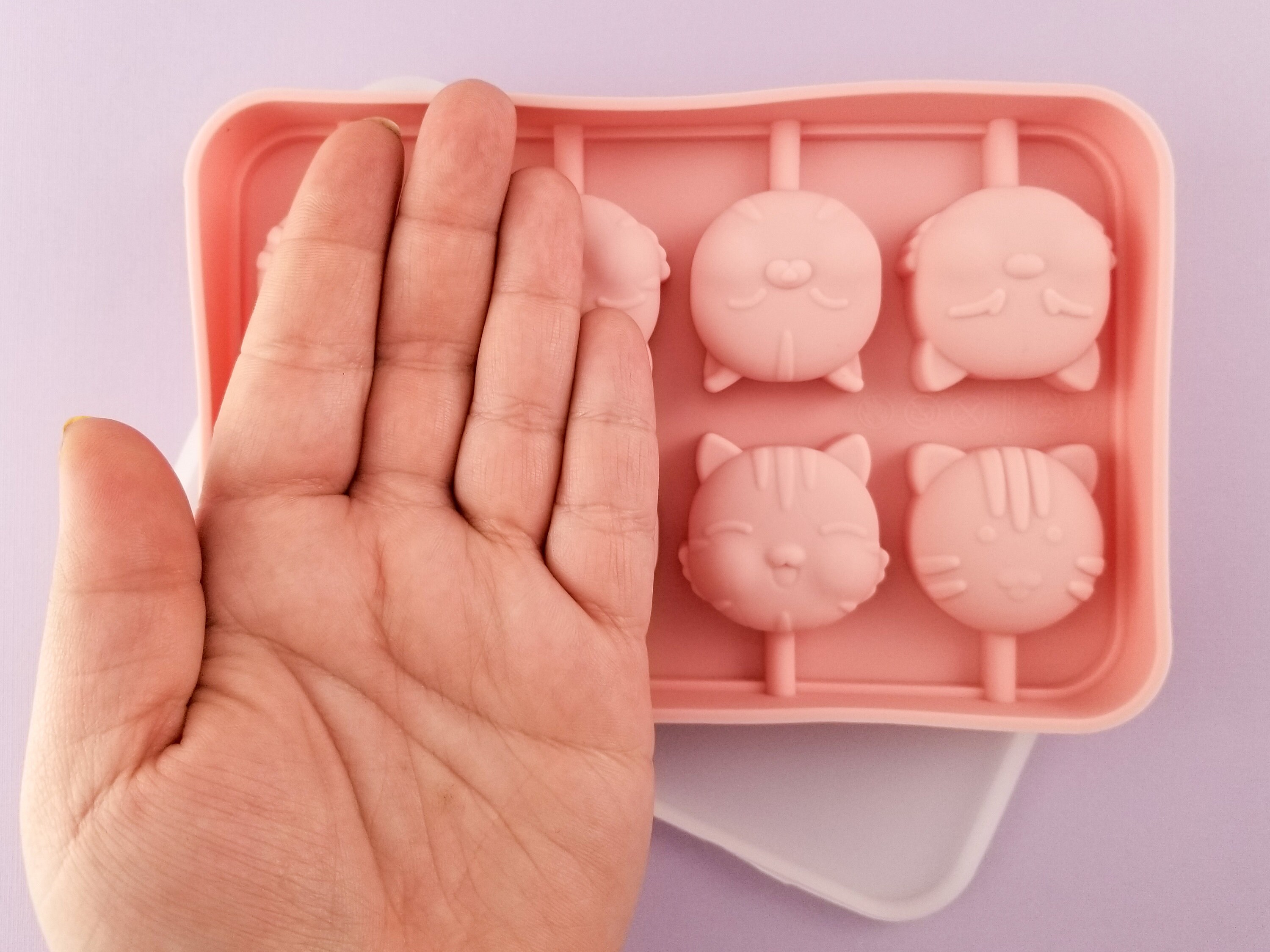 8 Cavity Kawaii Kitten Cat Themed Popsicle Ice cream Sucker | Etsy