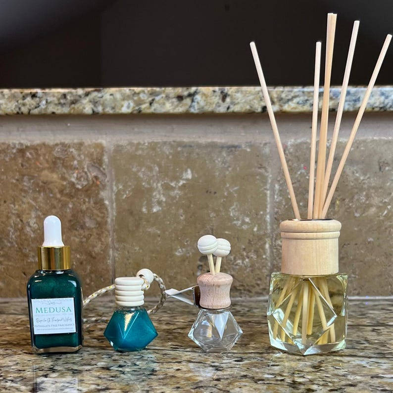 Cassian | Hanging Car Fragrances Vent Clips Reed Diffusers Fragrances ...
