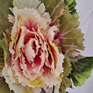 Cabbage Rose Flower Stems, Cabbage, Cabbage Rose, Artificial Ornamental ...