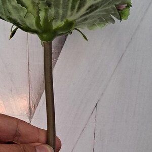 Cabbage Rose Flower Stems, Cabbage, Cabbage Rose, Artificial Ornamental ...