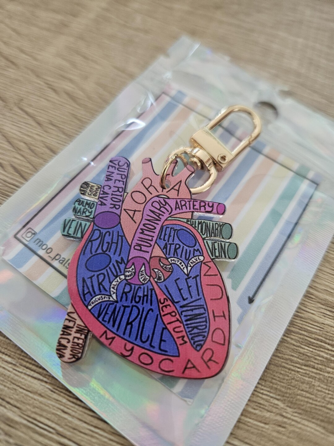 Acrylic Heart Anatomy Keyring – Anatomical Heart With Labeled Areas ...