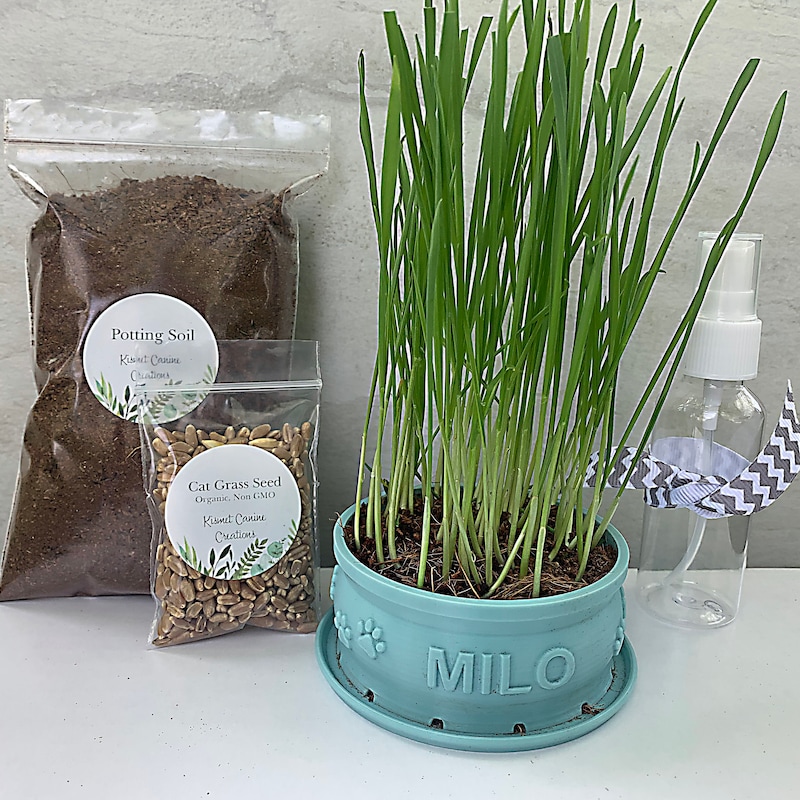 Grass Planter Boxes - Etsy