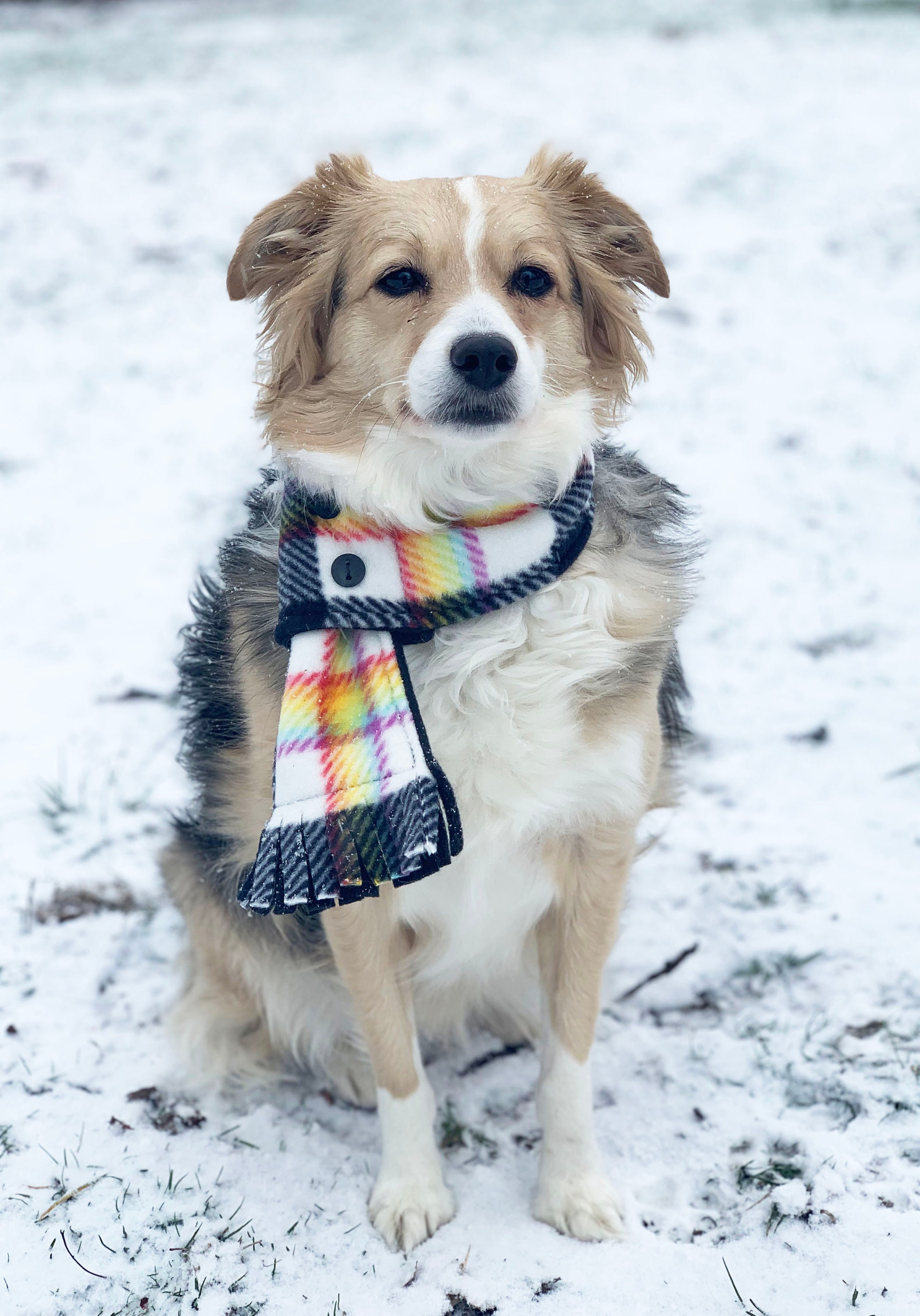 Buffalo Plaid Dog Scarf, Rainbow Plaid Dog Scarf, Winter Dog Scarf ...