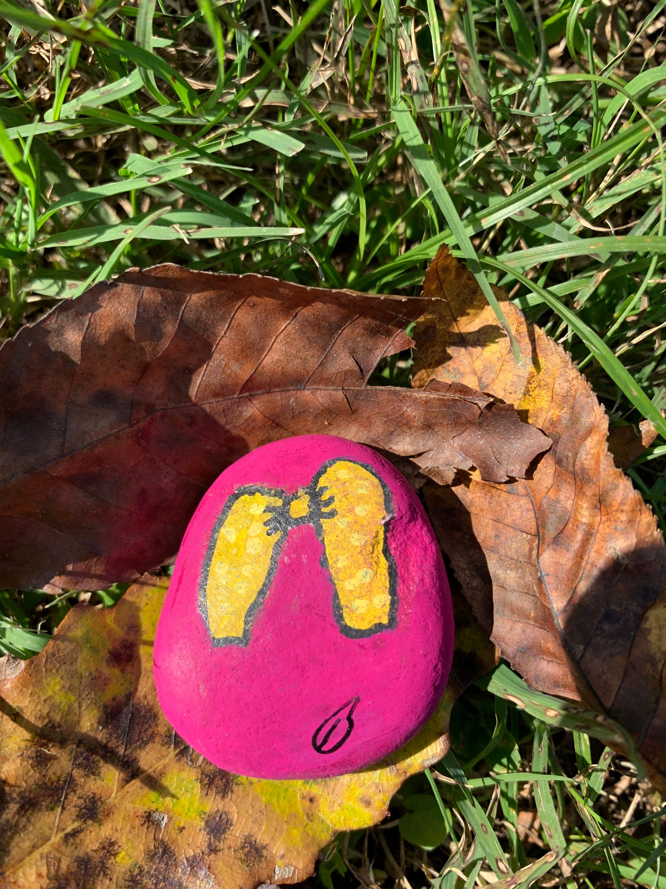 Amphibia Polly Planter Rock - Etsy