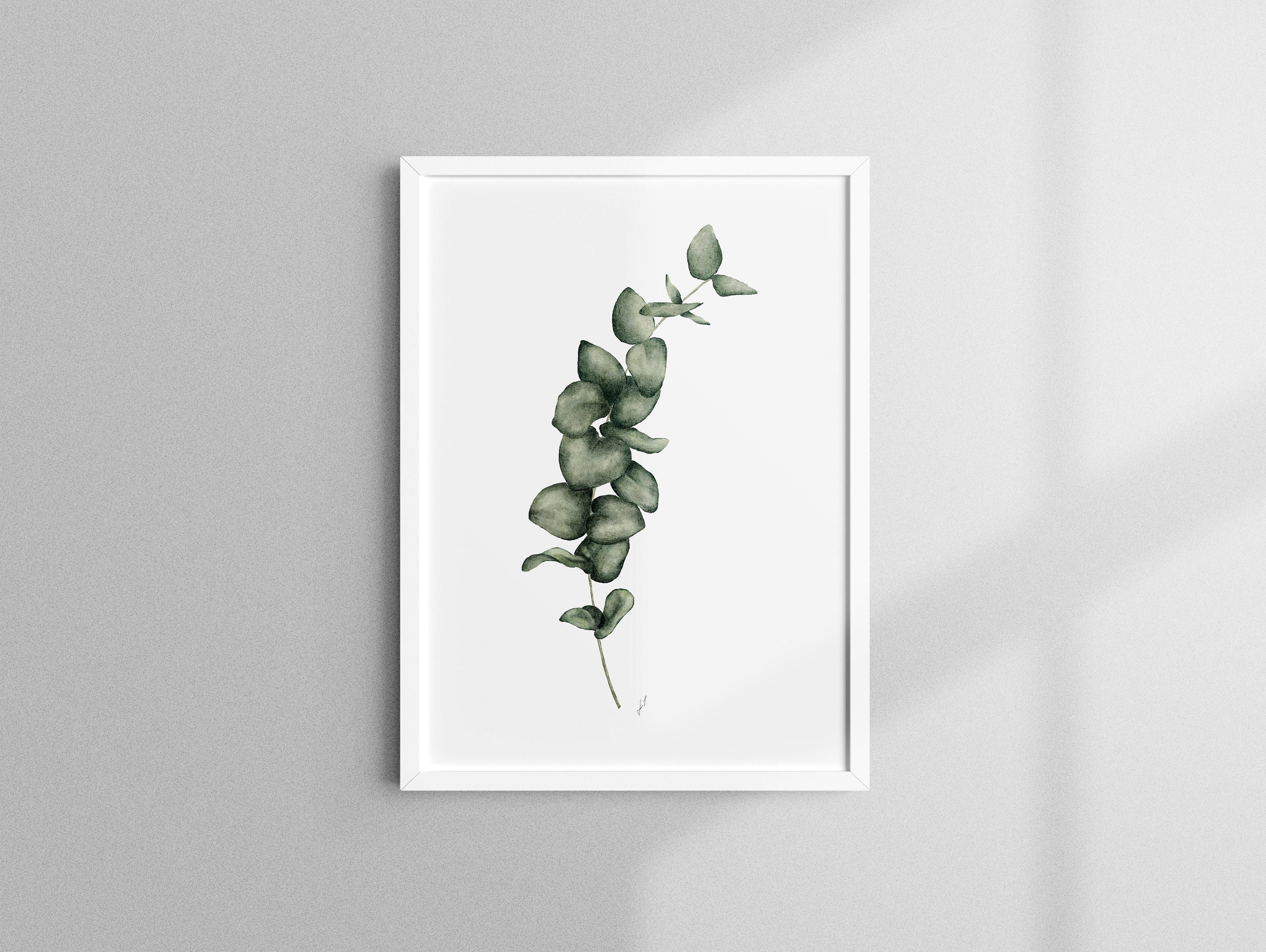 Eucalyptus Poster Eucalyptus Print Plant Poster Plant - Etsy