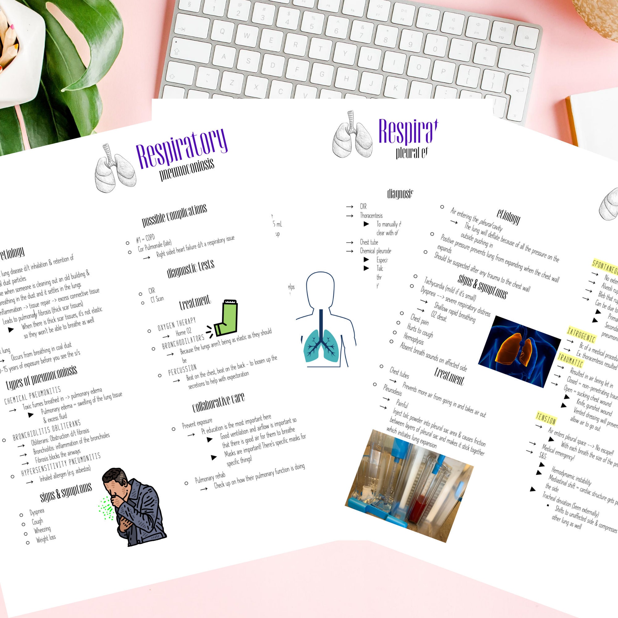 Respiratory System Study Guide, Med Surg Study Guide, Nursing School ...