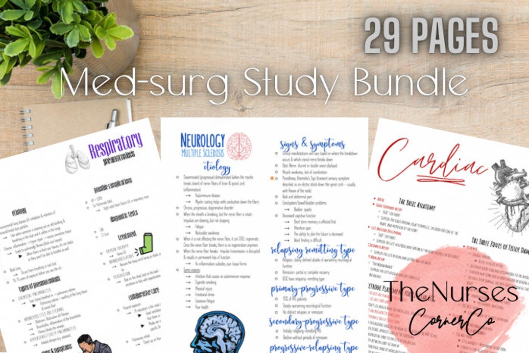 Med Surg Nursing School Bundle, Study Guide BUNDLE, Medical Surgical ...