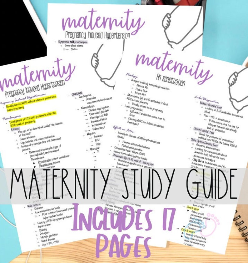 Maternity Nursing School Study Guide, Antepartum and Postpartum Study ...