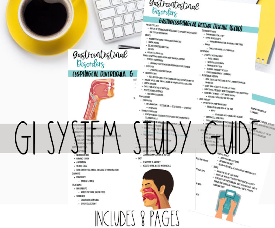 GI System Study Guide, Nursing School Study Guide, Med Surg Study Guide ...