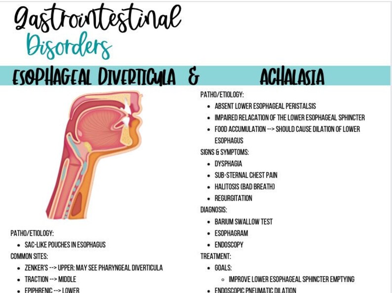 GI System Study Guide, Nursing School Study Guide, Med Surg Study Guide ...