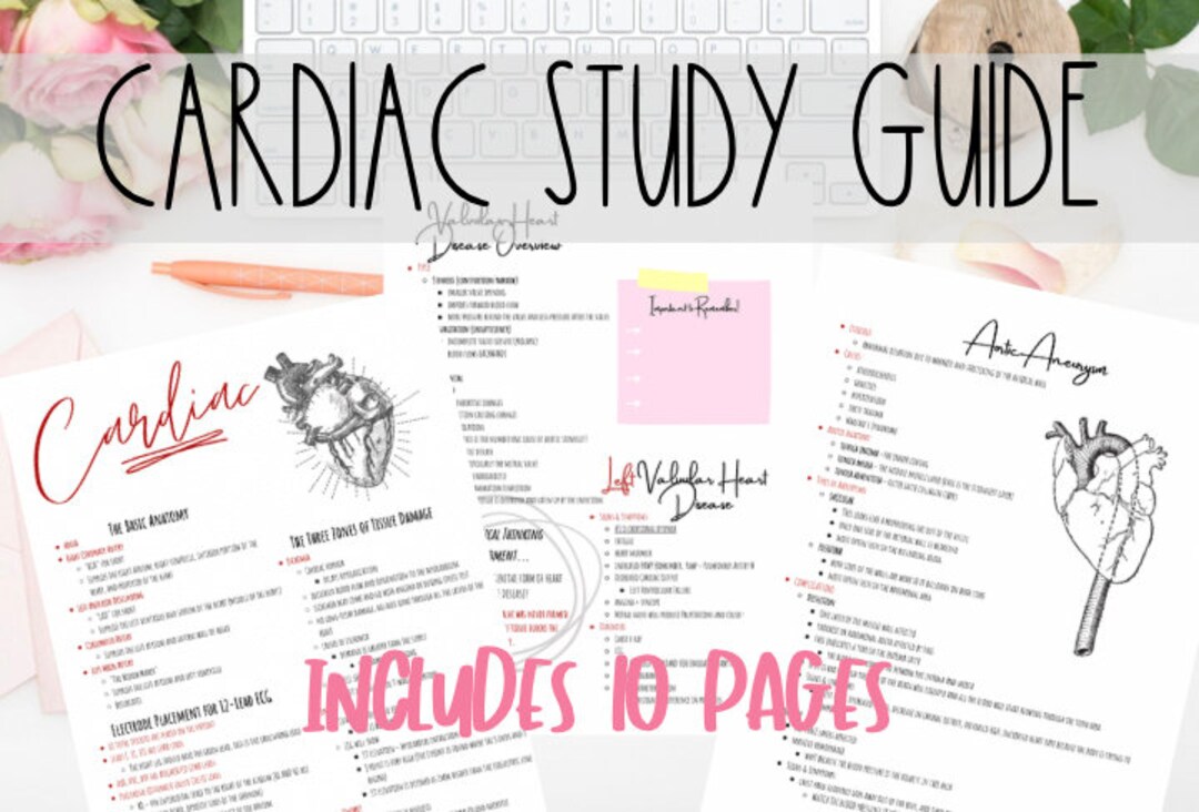 Cardiac Study Guide, Advanced Med Surg Guide, DIGITAL PRINT, Instant ...