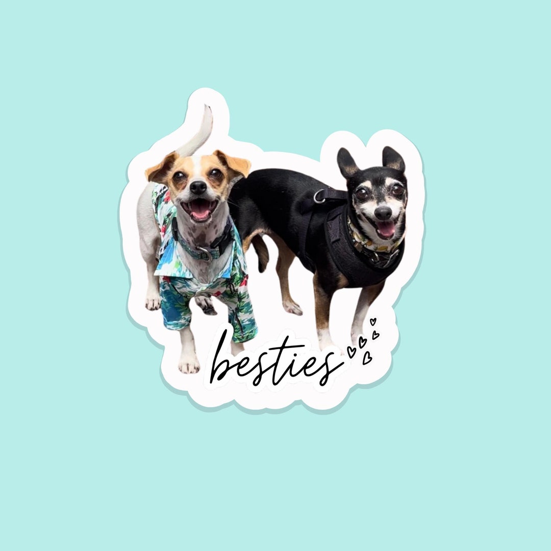 Besties Sticker Gift, Best Friend Gift, Small Dog Club, Gift for Friend ...