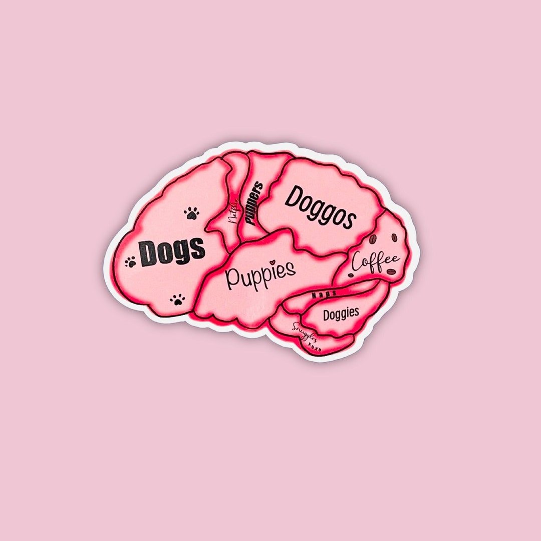 Brain Function Sticker, Funny Brain Sticker, Psychology Sticker ...