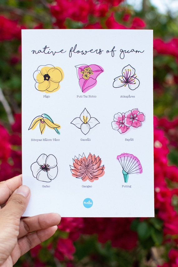 Native Flowers of Guam Art Print 8x10 Digital Art Print - Etsy