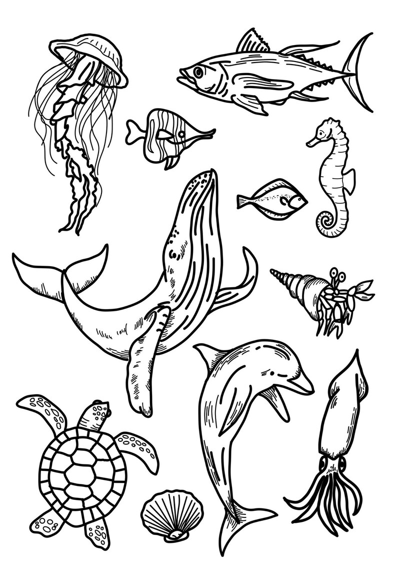 Sea Creatures Design A4 Size- JPG,PNG Files & SVG (rasterized File) - Etsy