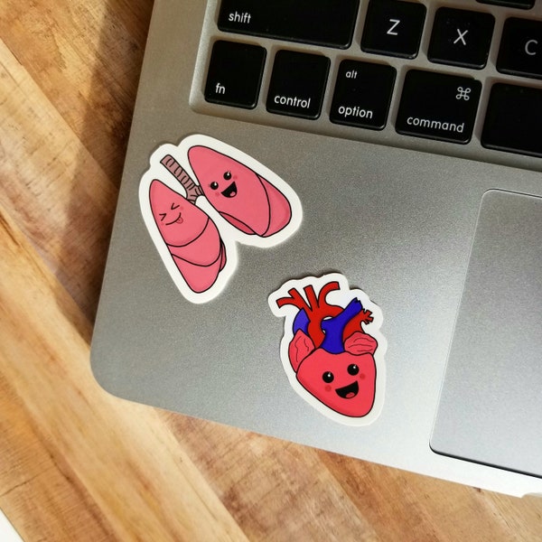 Labeled Lung Anatomy Shirt - Etsy