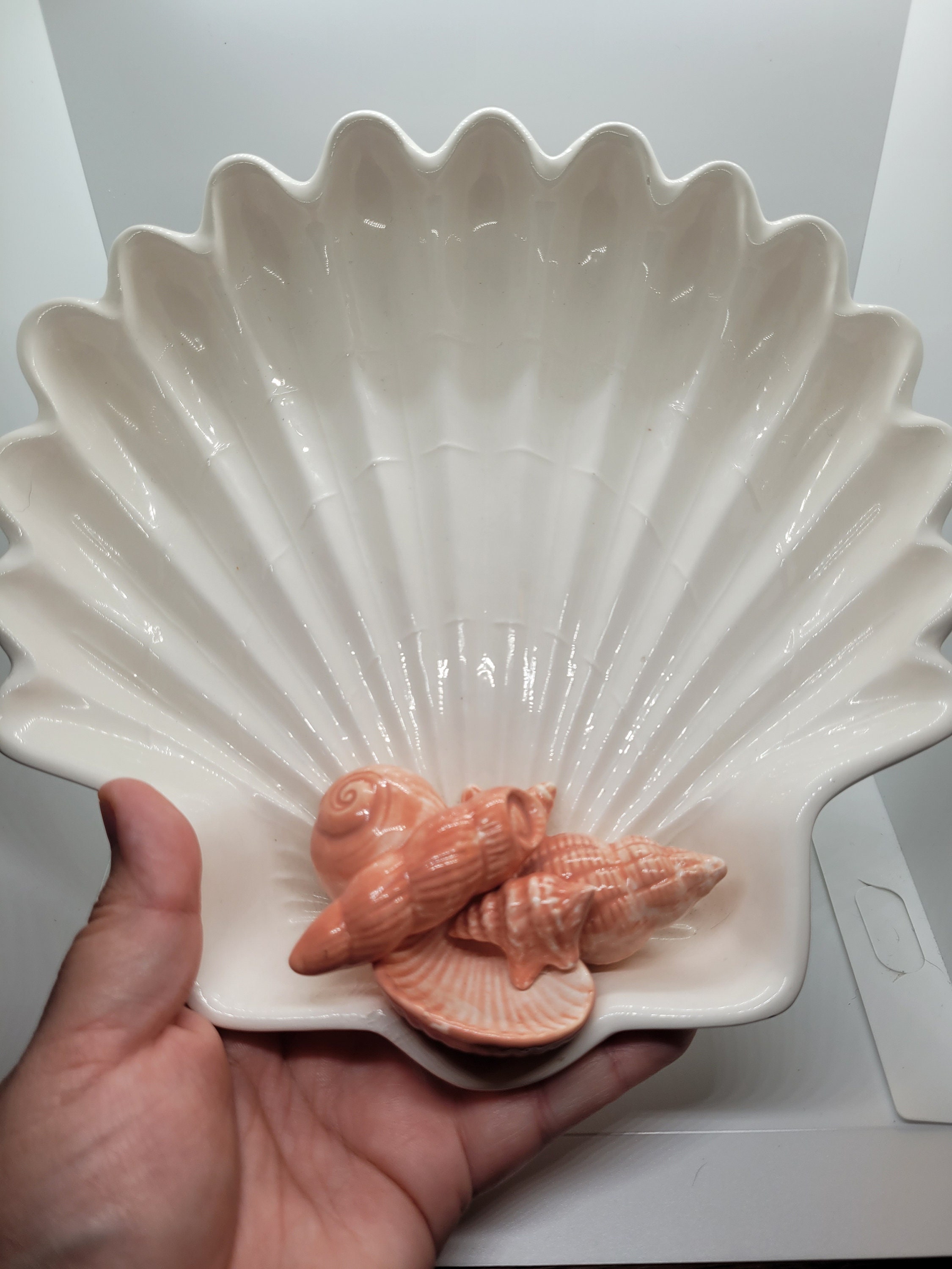 Fitz and Floyd Coquille Sea Shell Clamp Shaped Trinket Dish - Etsy UK