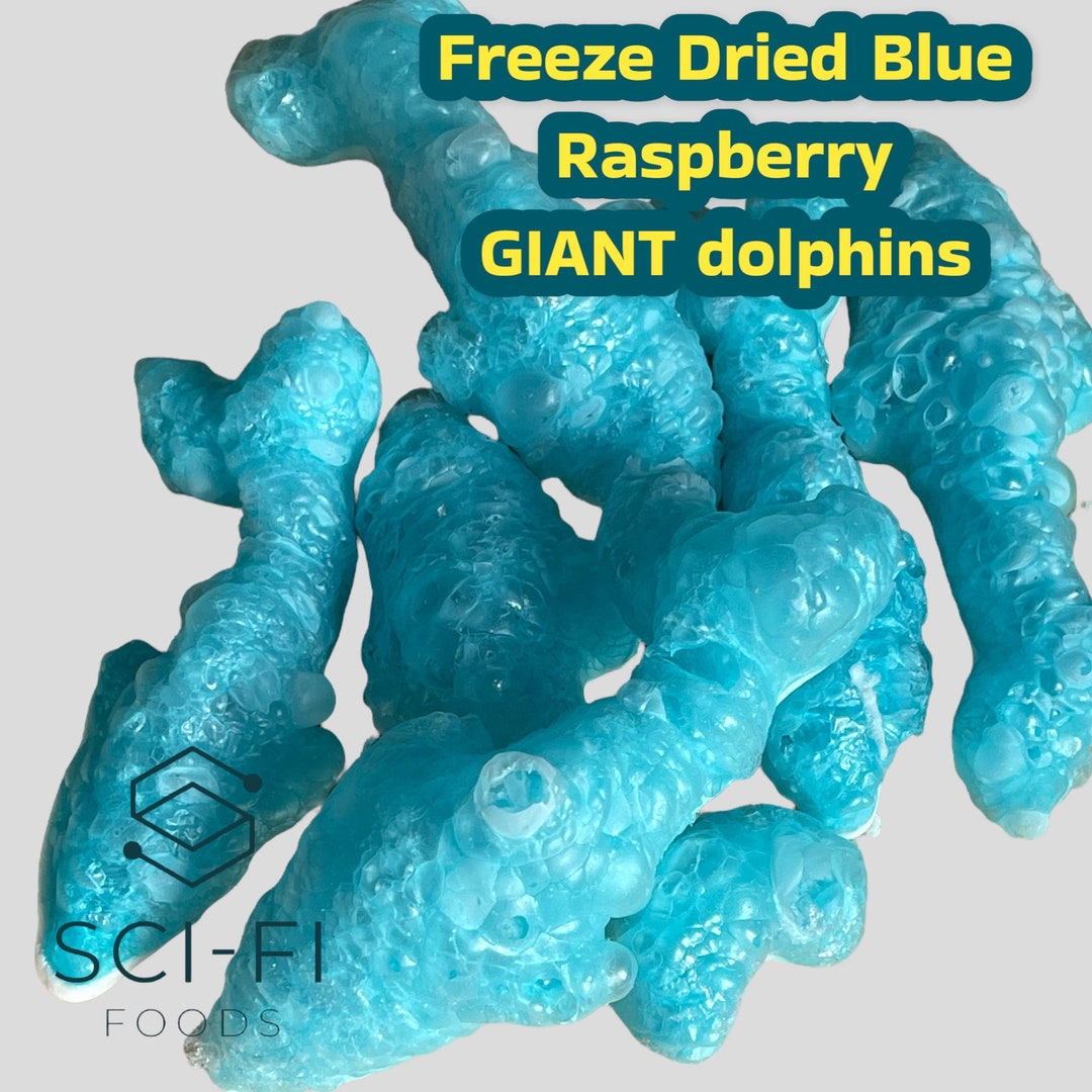 Sci-fi Foods UK Freeze Dried Blue Raspberry Giant Dolphins - Etsy