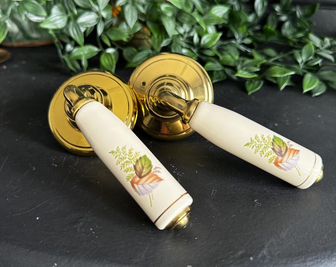 Vintage Floral Ceramic Door Handles: Brass Plate Passage Set - Etsy