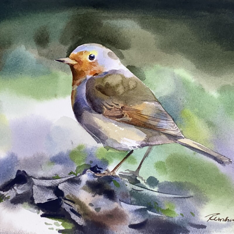 Robin Watercolor - Etsy