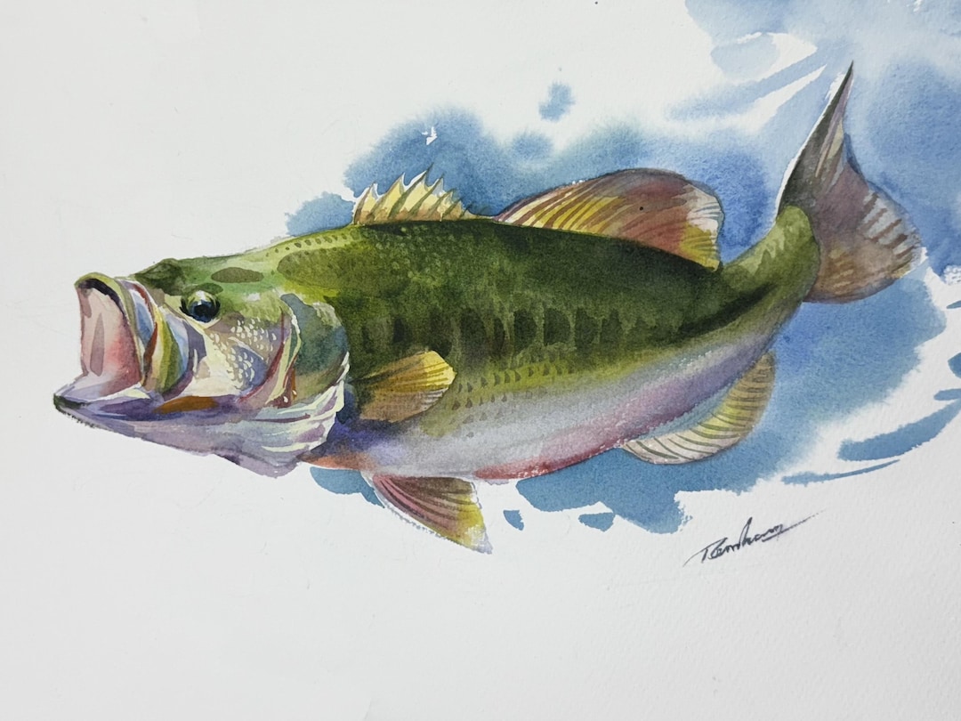 Largemouth Bass Original Art Watercolor Painting | Gift Artwork | Wall ...