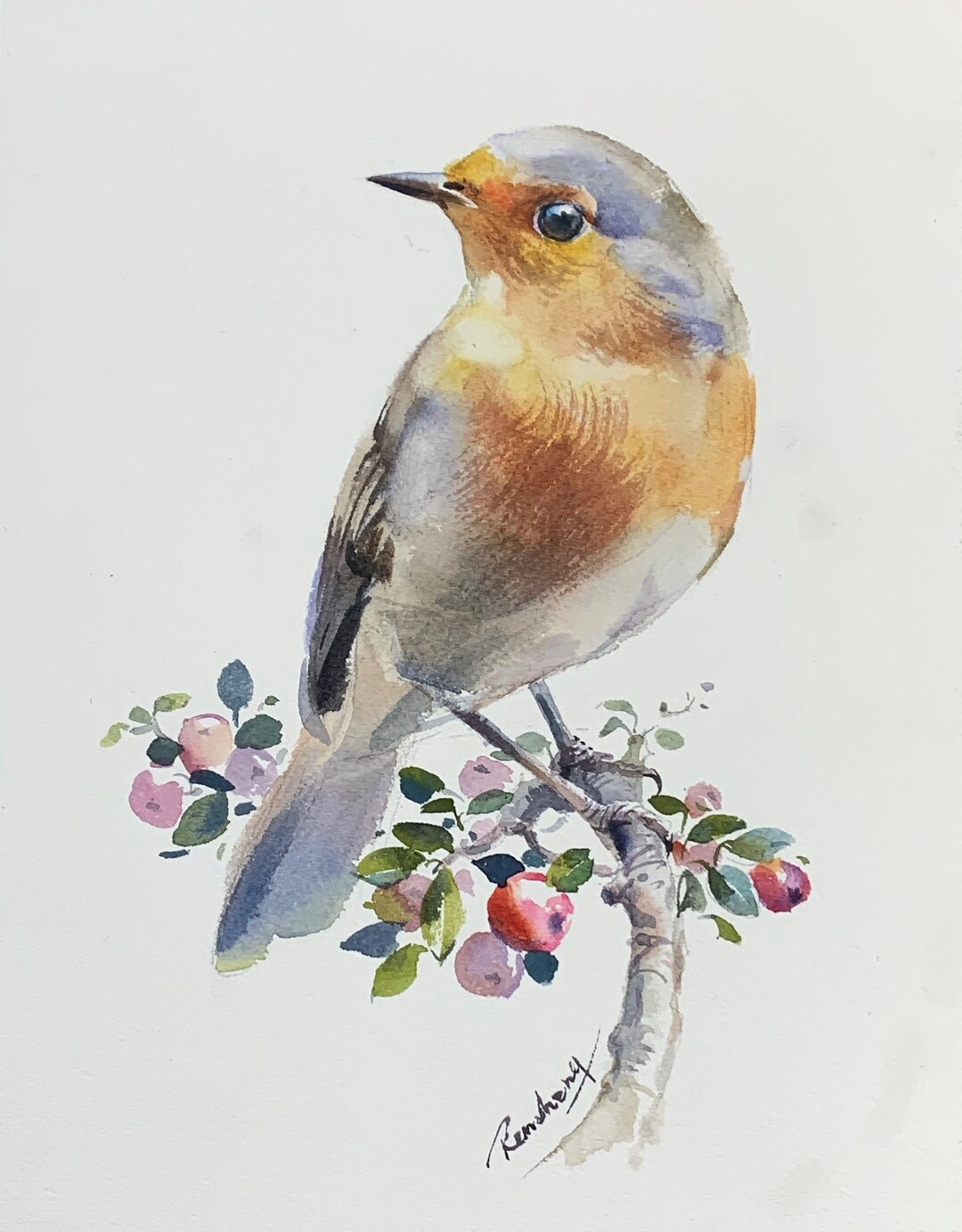 Original Art | Robin Bird | Watercolor Painting | Wildlife | Home Decor ...