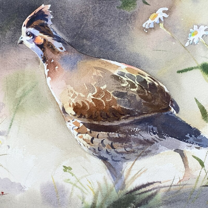 Quail Painting - Etsy