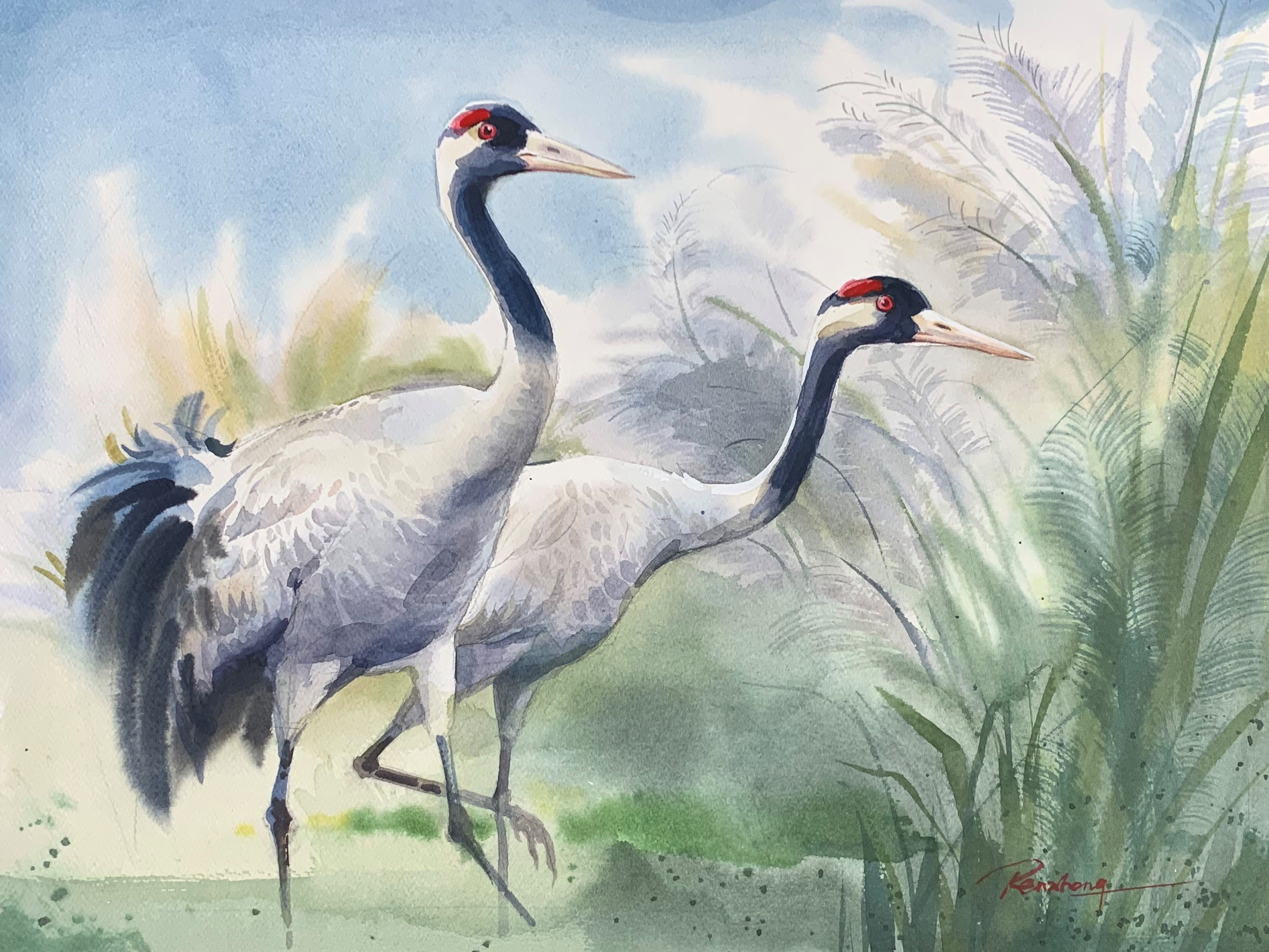 Red Crowned Crane Painting