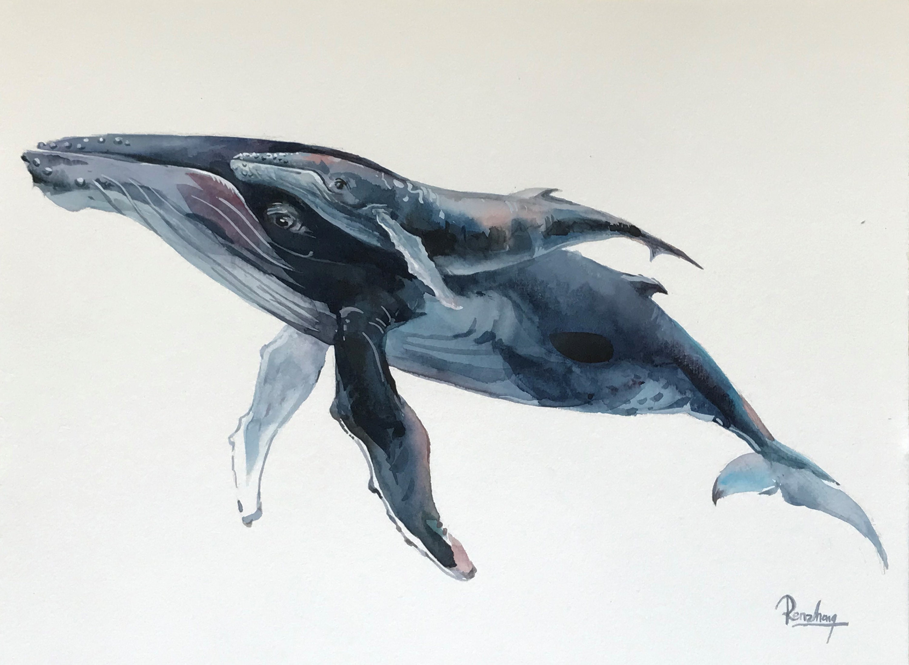 Whales Original Art Watercolor Painting Gift Artwork | Etsy