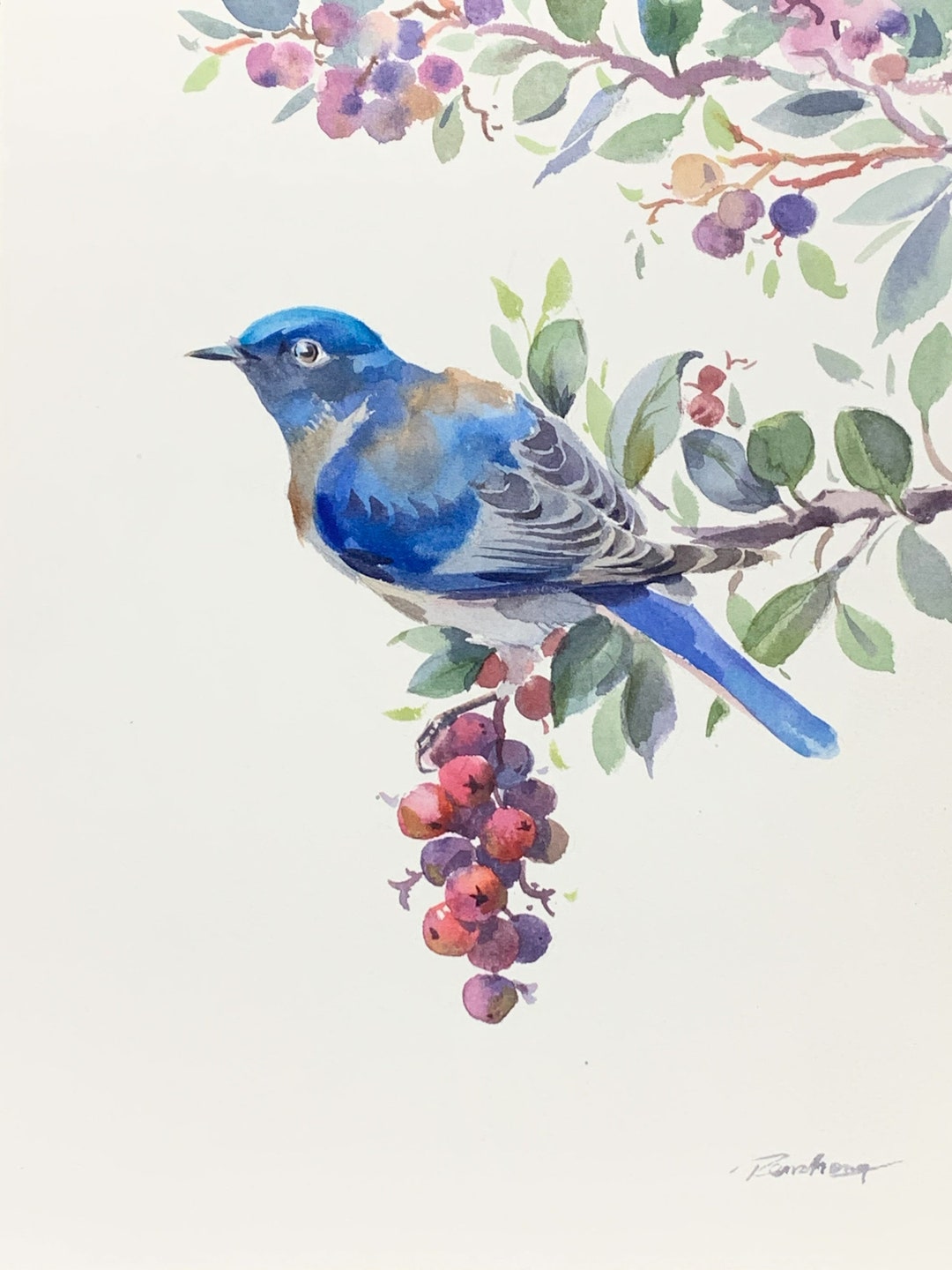 Eastern Bluebird | Original Art Watercolor Painting | Gift Artwork ...