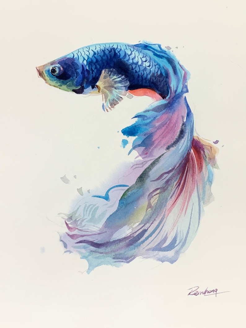 Betta Fish Original Art Watercolor Painting Home Decor Gift - Etsy