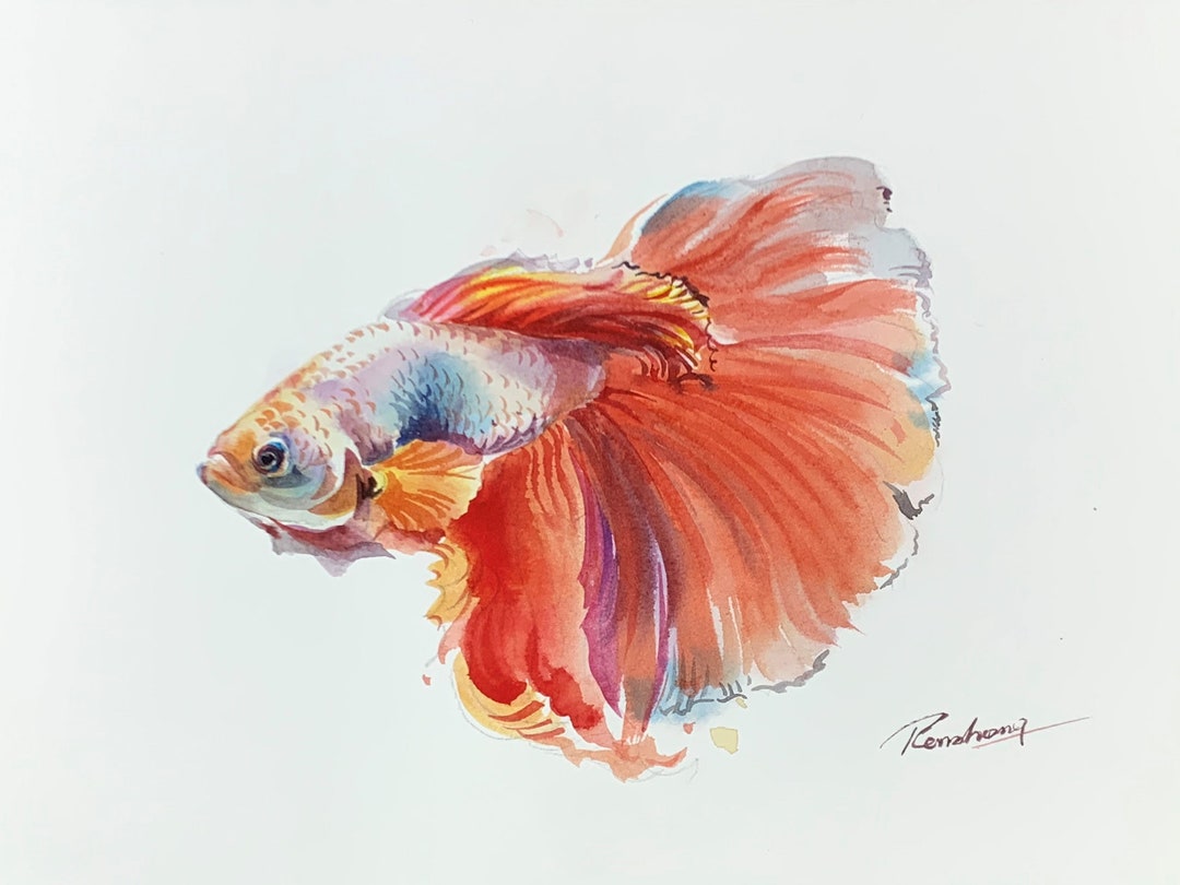 Betta Fish Original Art Watercolor Painting Home Decor Gift Artwork ...