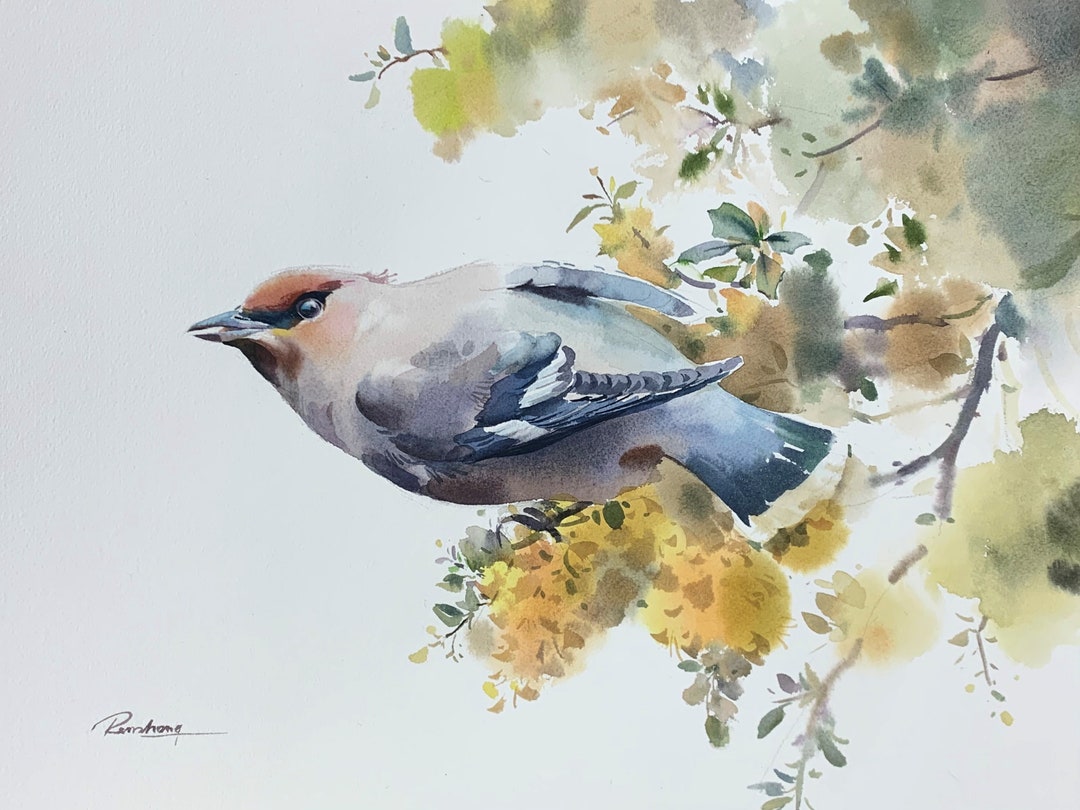 Cedar Waxwing Bird Original Art Watercolor Painting Gift Artwork Home ...