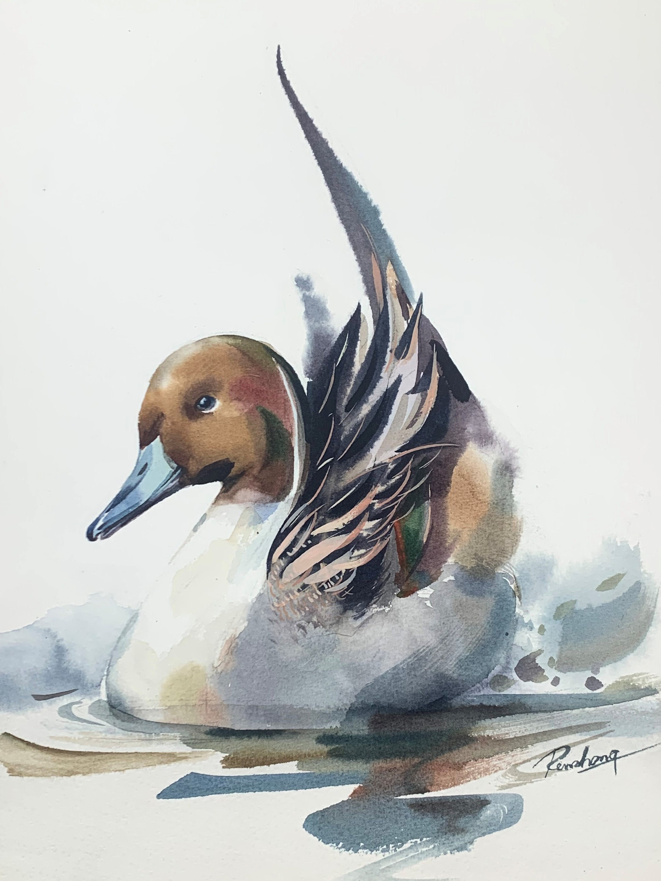 Pintail Painting