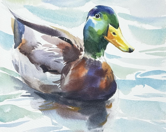 Mallard Duck Original Art Watercolor Painting Wildlife - Etsy
