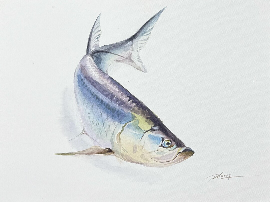 Tarpon Fish Original Art Watercolor Painting Gamefish Gift Artwork Wall ...