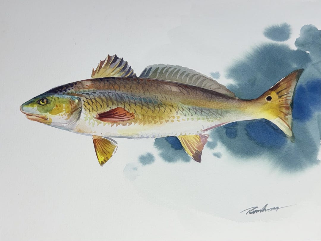 Redfish Original Art Watercolor Painting Gamefish Wall Décor NOT A ...