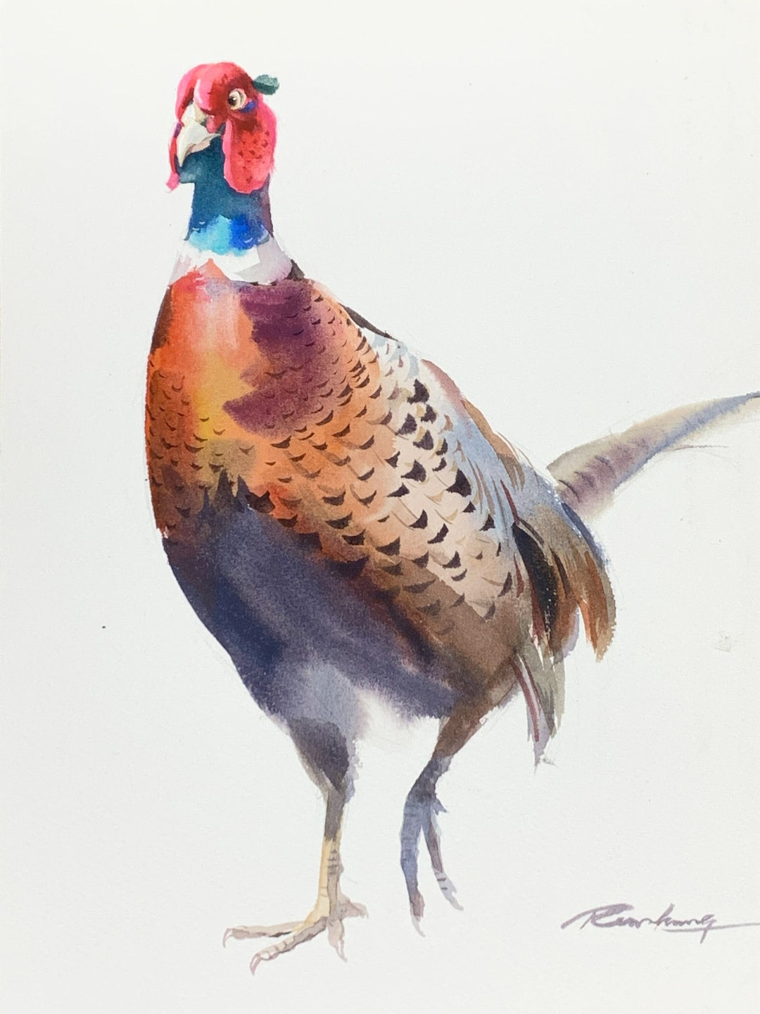 Pheasant Original Art Watercolor Painting | Home Decor | Gift Artwork ...