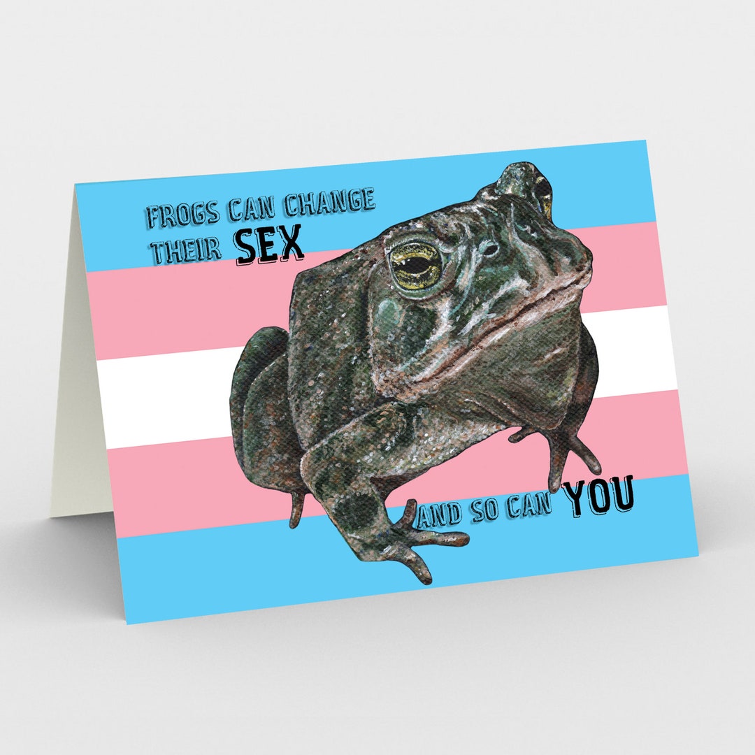 Pride Greeting Card, Trans Pride, Transgender Pride Month Celebration ...