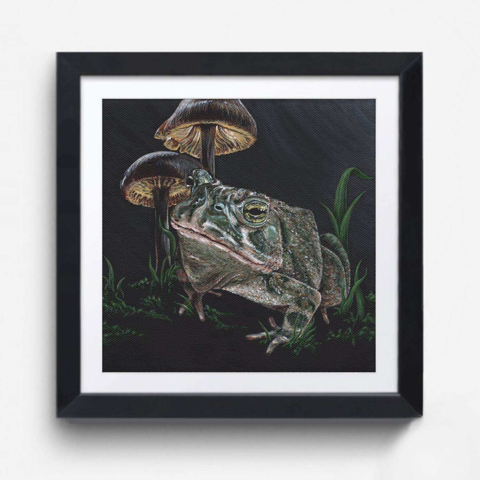 Toad Painting Print Frog Mushroom Mushrooms Toads Frogs - Etsy