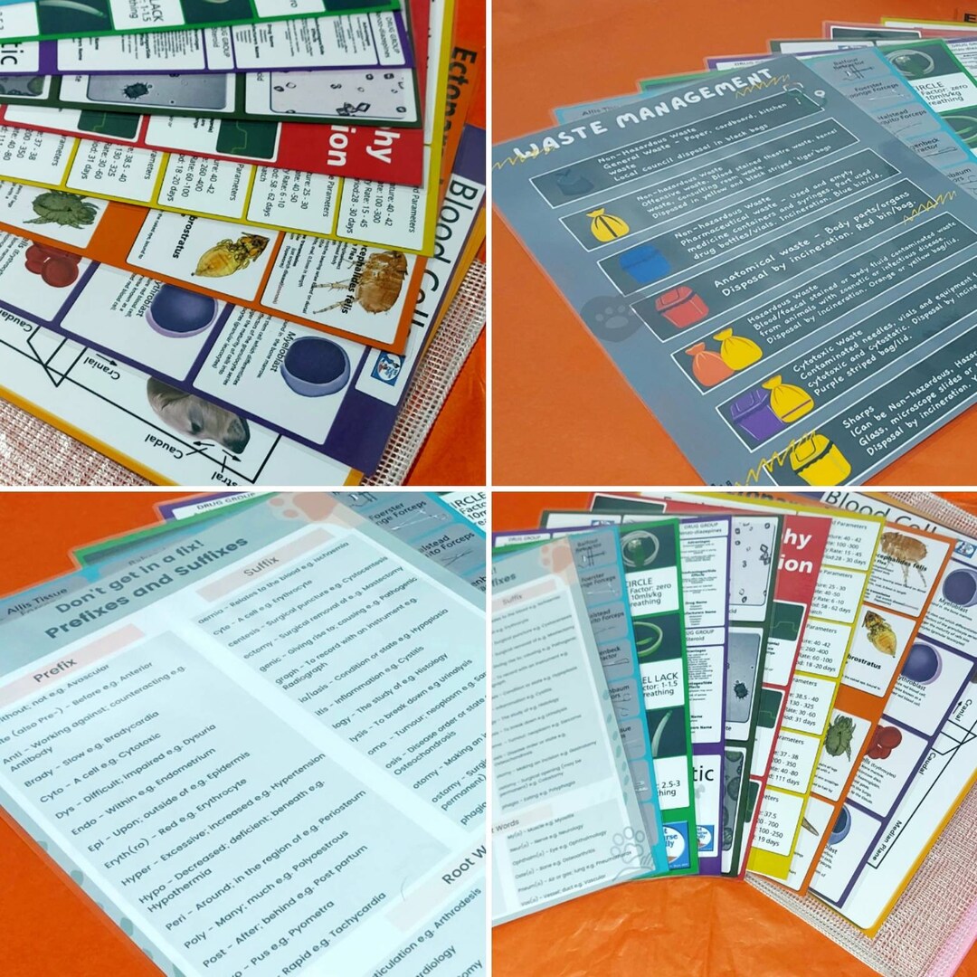 12 A4 Posters BUNDLE - Anatomy, Capnography, Instruments, Parasites and ...