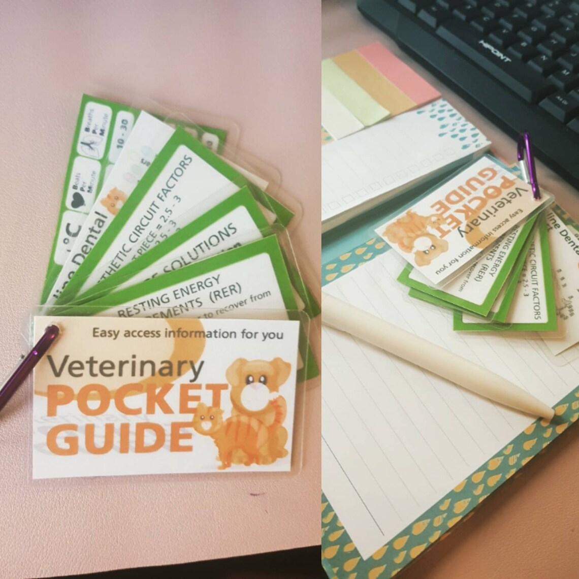Veterinary Nursing Pocket Guide | Etsy